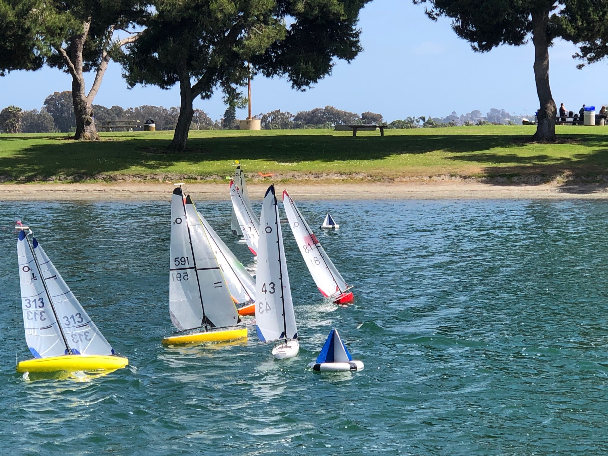 2025 AMYA ODOM CLASS REGIONAL CHAMPIONSHIP (Aug 2nd, 2025) – San Diego ...